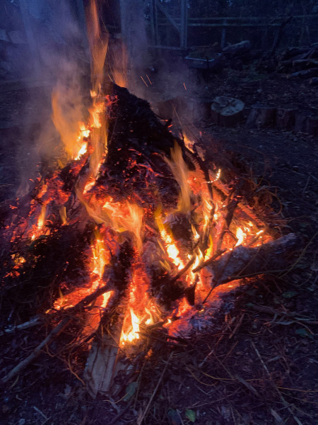 The First 100 Days ...